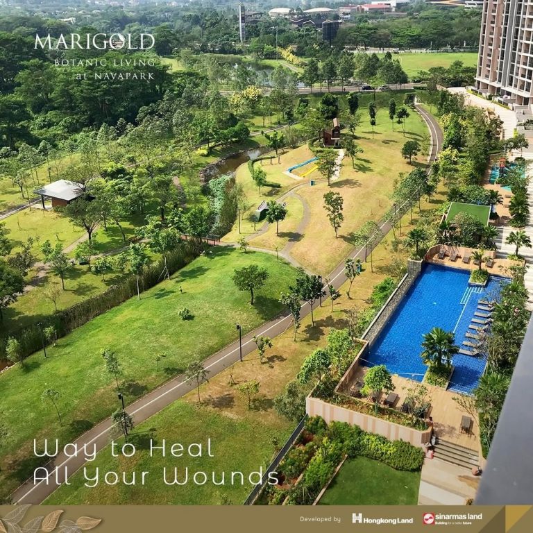 Marigold – INFO BSD CITY